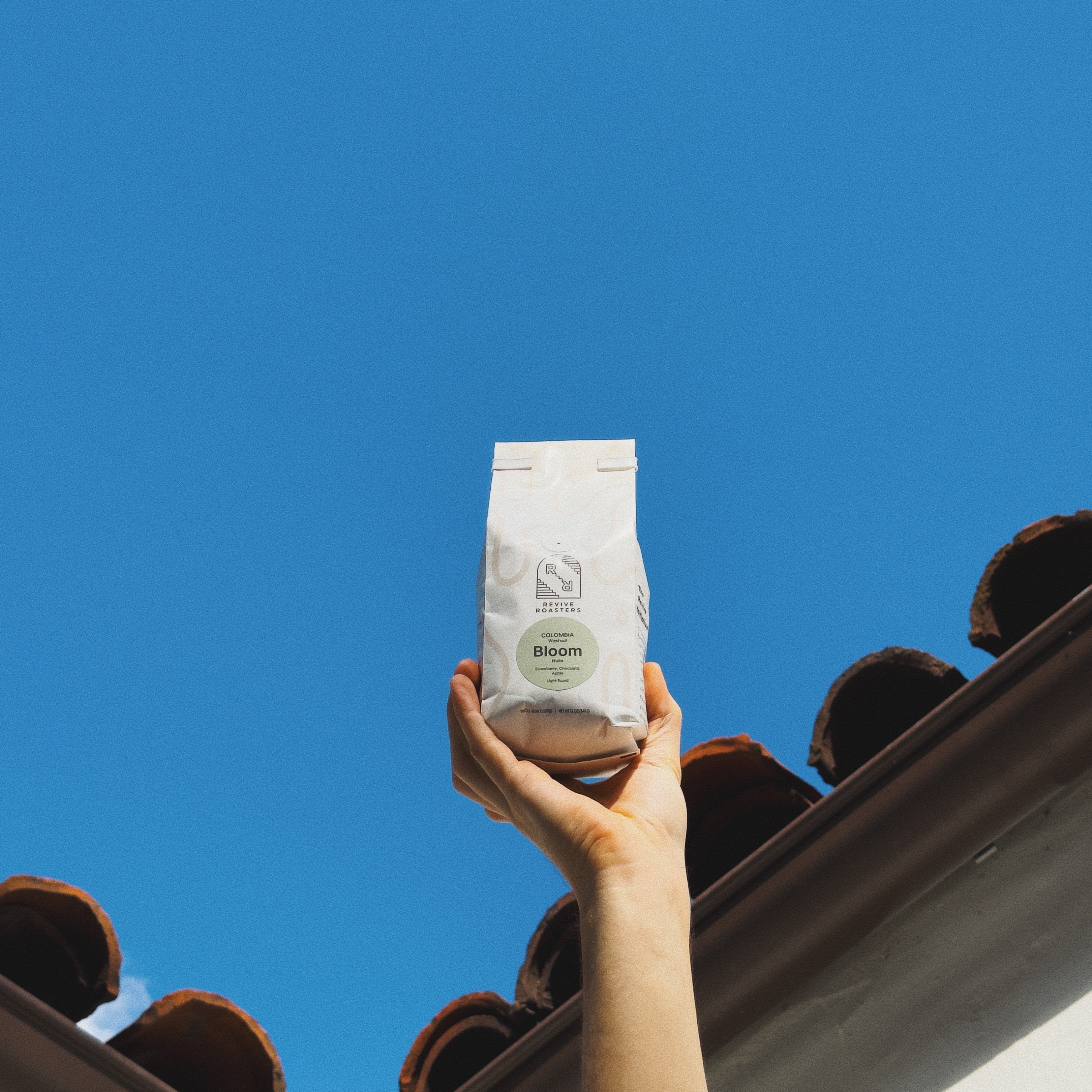 All Coffee | Revive Roasters | Single Origin & Blend Coffee – REVIVE ...